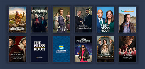 AZPM September 2025 Newsletter | Our Newsletter